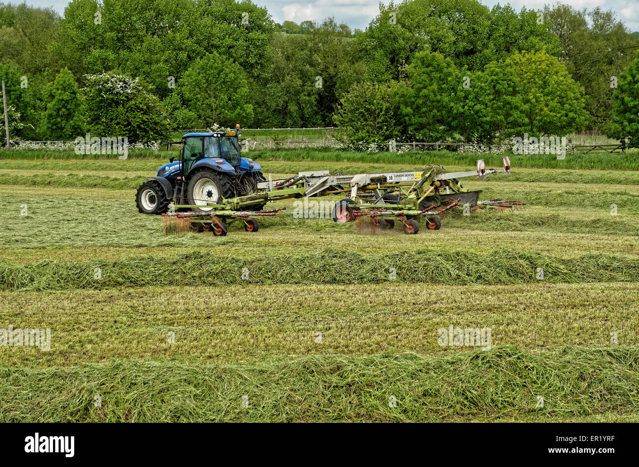 New Holland tractor with Claas rotary rake Stock Photo - Alamy