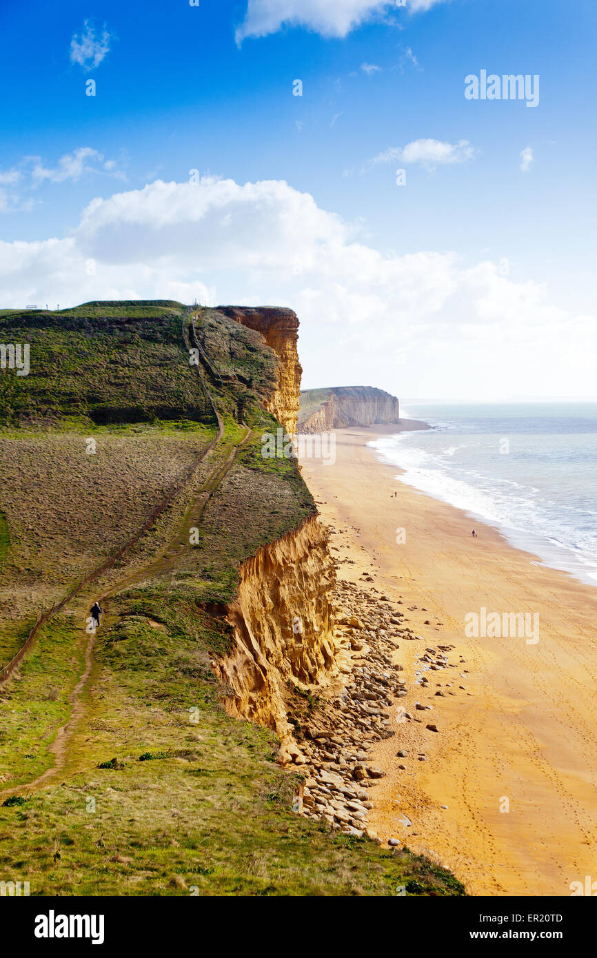 The SW Coast footpath on top of East Cliff on the Jurassic Coast ...