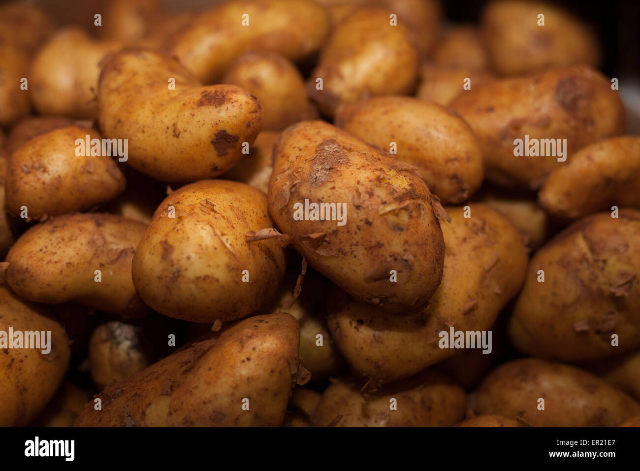 White potatoes hi-res stock photography and images - Alamy