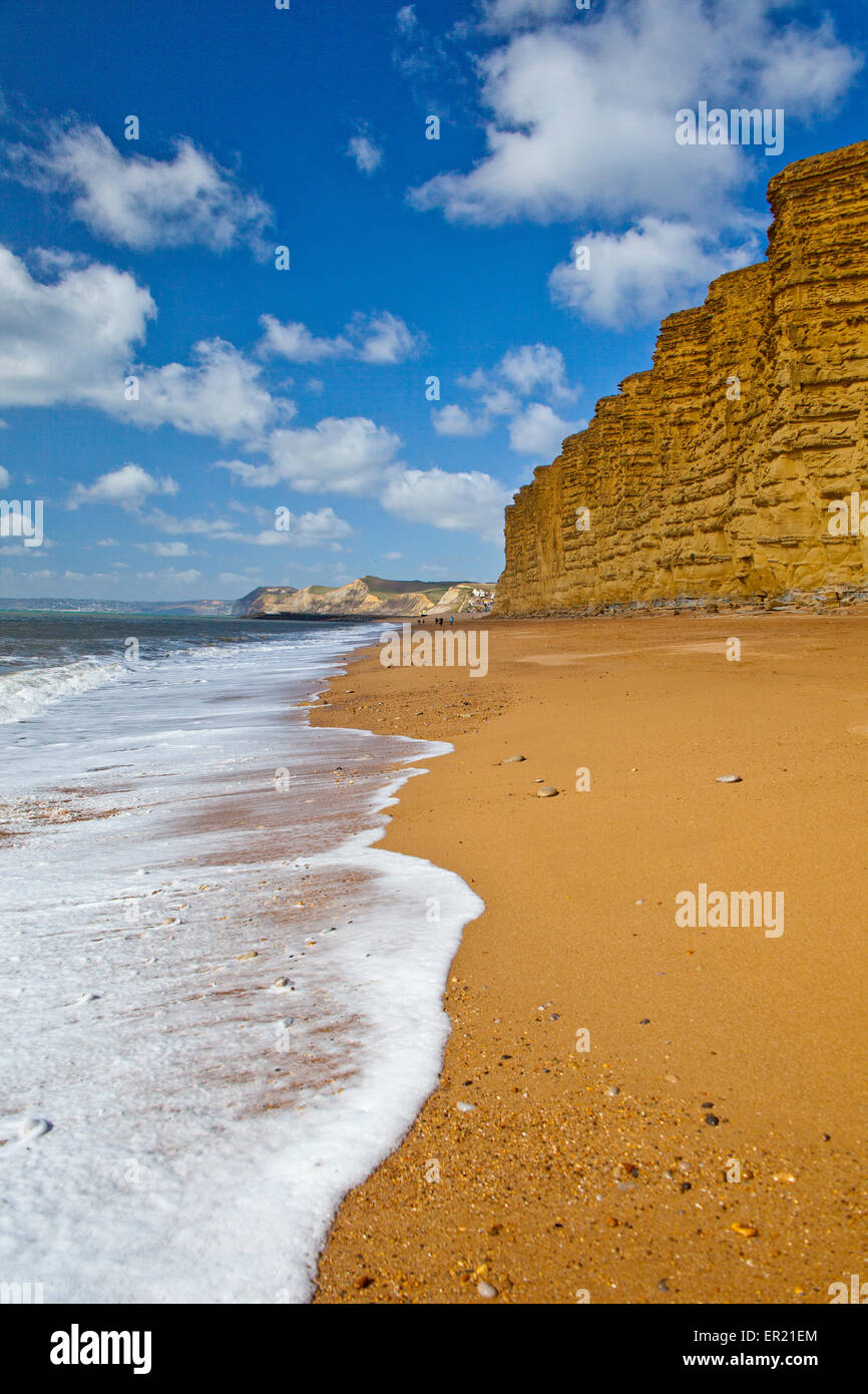 The distinctive banded sandstone strata of East Cliff near West Bay on ...