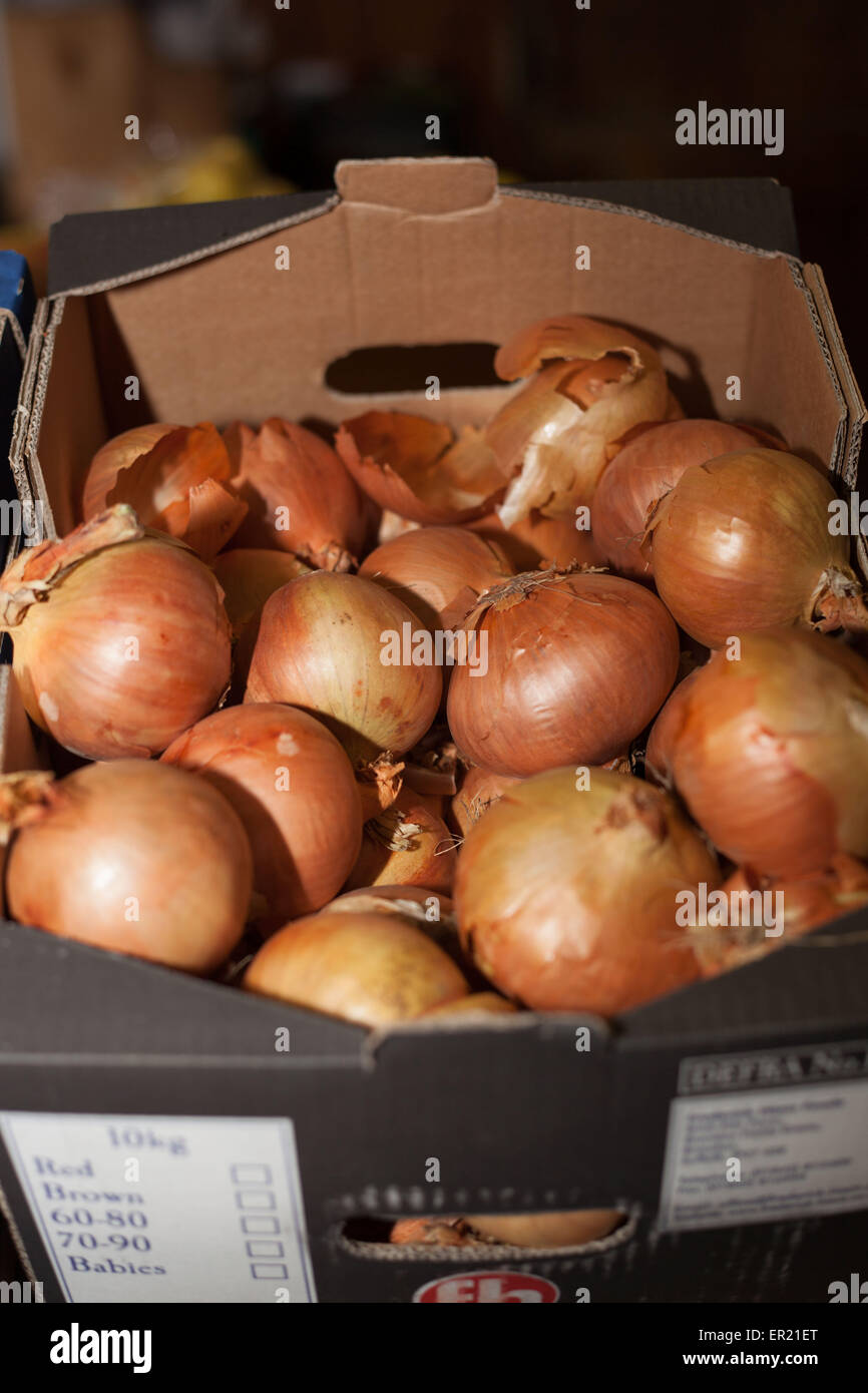 onions in box Stock Photo - Alamy
