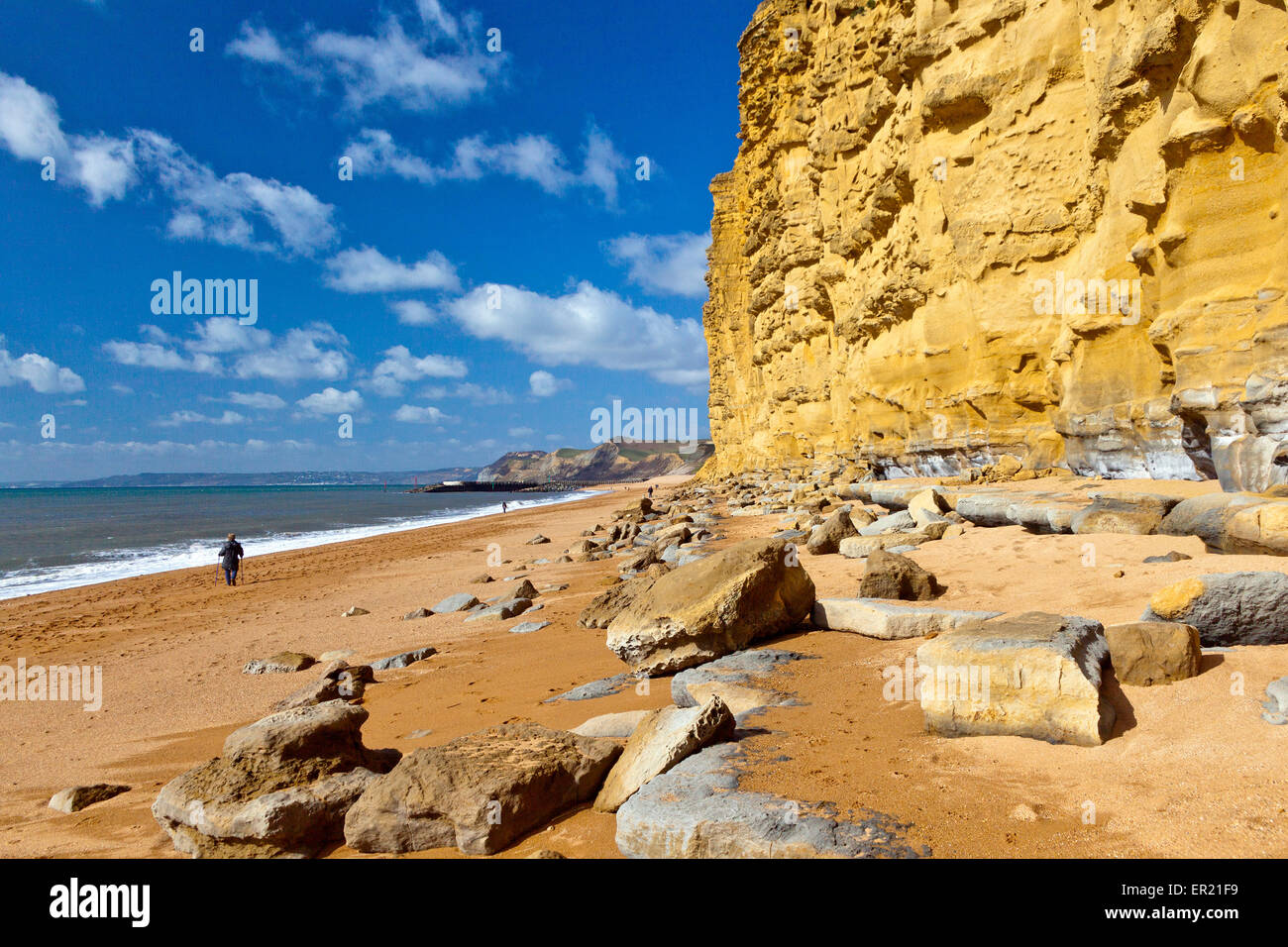 The distinctive banded sandstone strata of East Cliff near West Bay on ...
