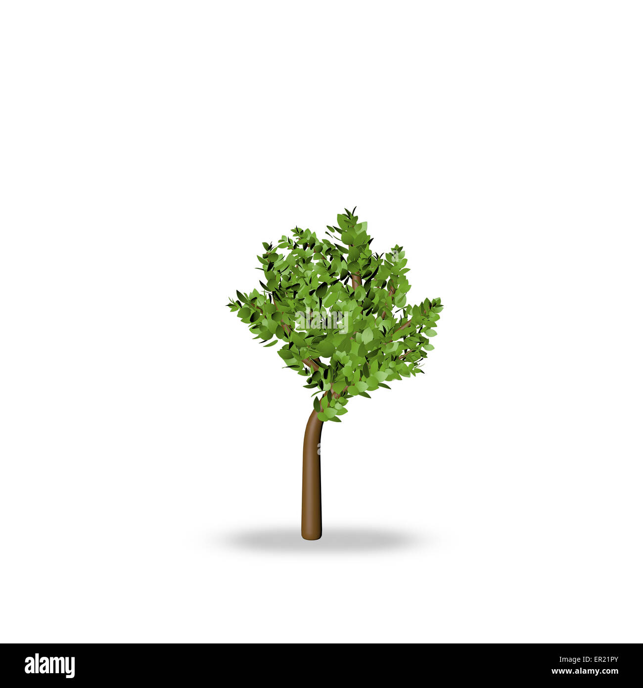 Tree 3d render Stock Photo - Alamy