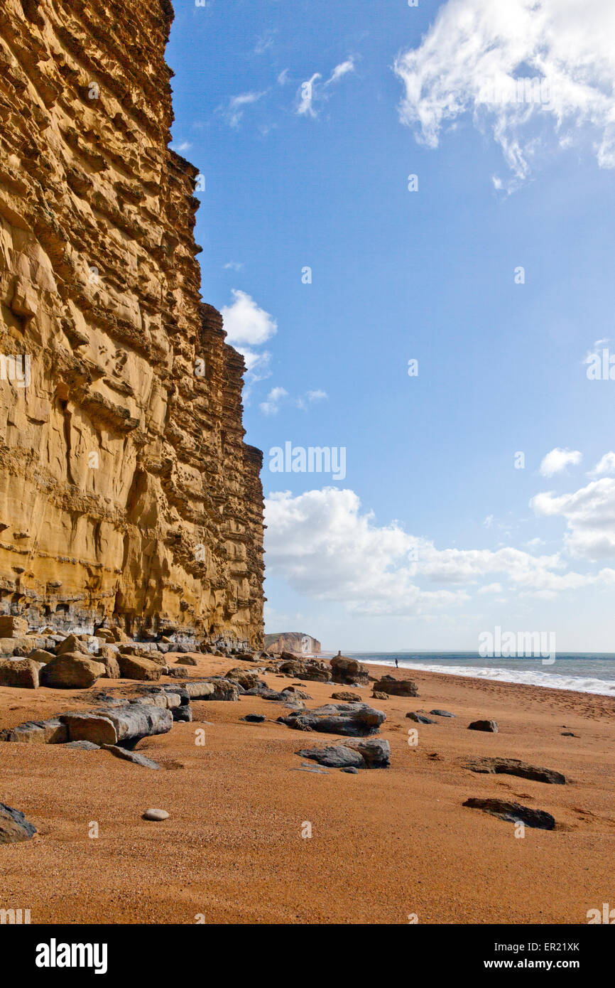 The distinctive banded sandstone strata of East Cliff near West Bay on ...