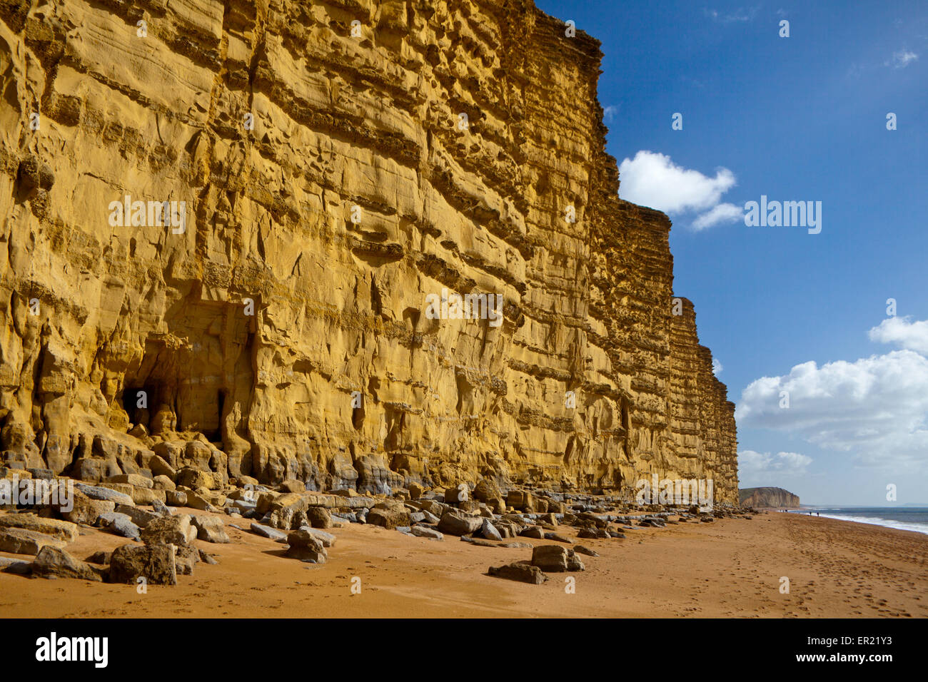 The distinctive banded sandstone strata of East Cliff near West Bay on ...