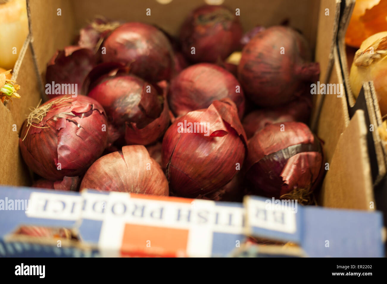 fresh red onions Stock Photo - Alamy