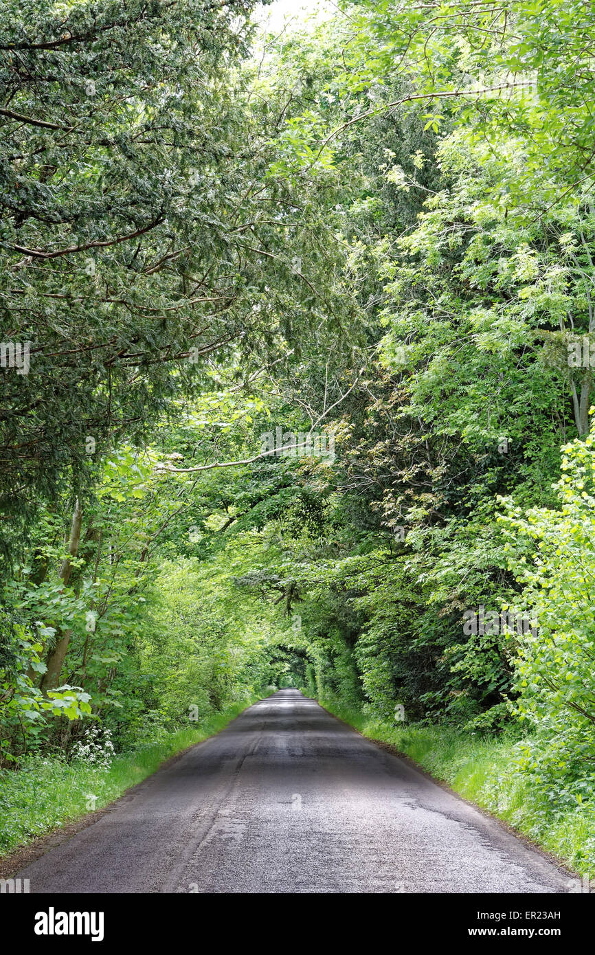 Cholderton wiltshire hi-res stock photography and images - Alamy