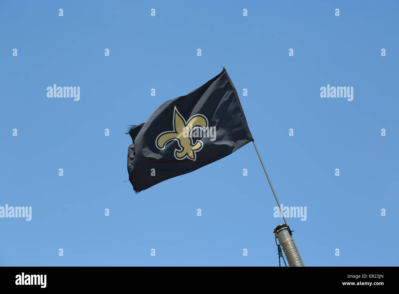 A photograph of a flag displaying the emblem of New Orleans which is a ...