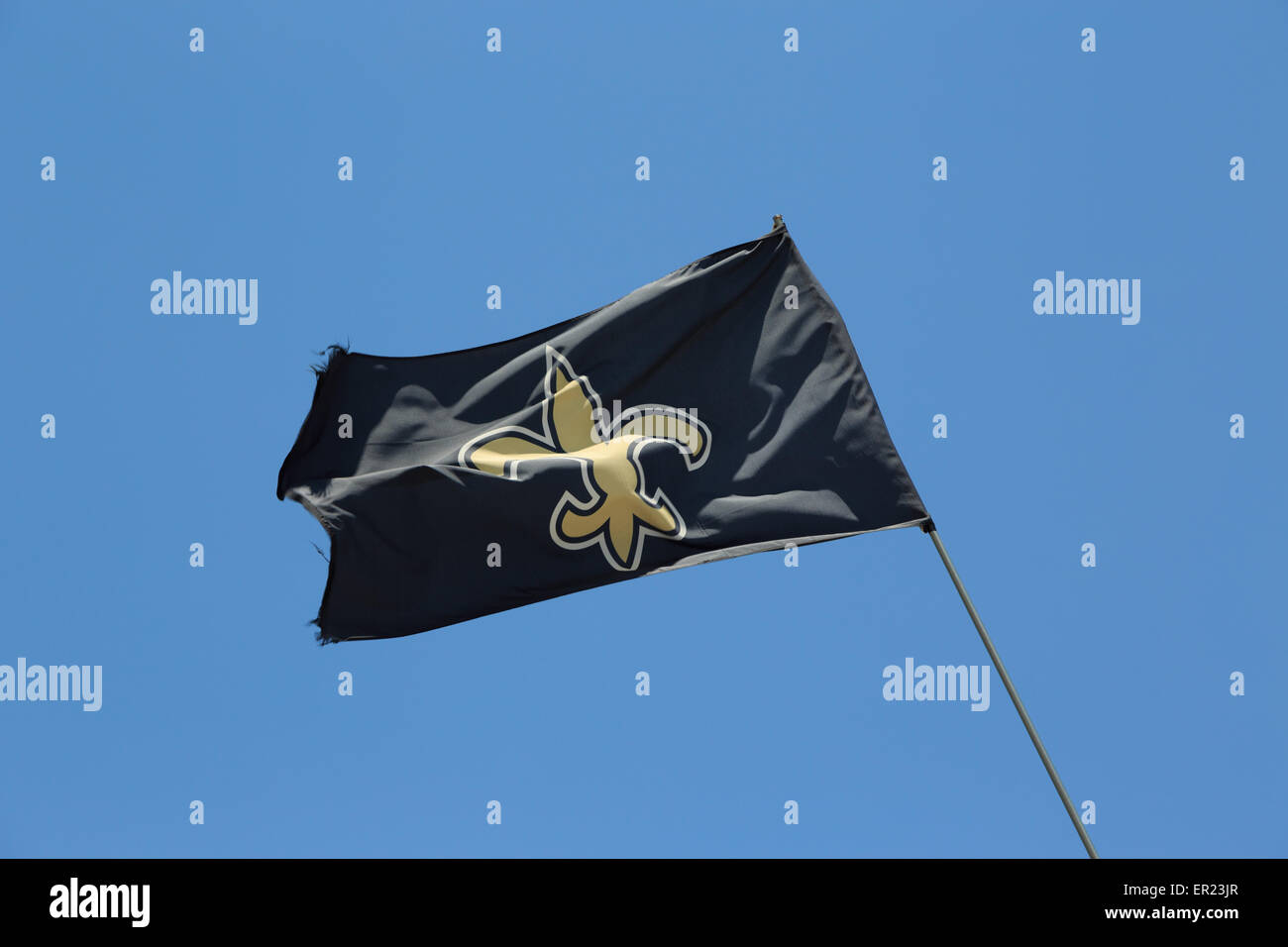 A photograph of a flag displaying the emblem of New Orleans which is a ...
