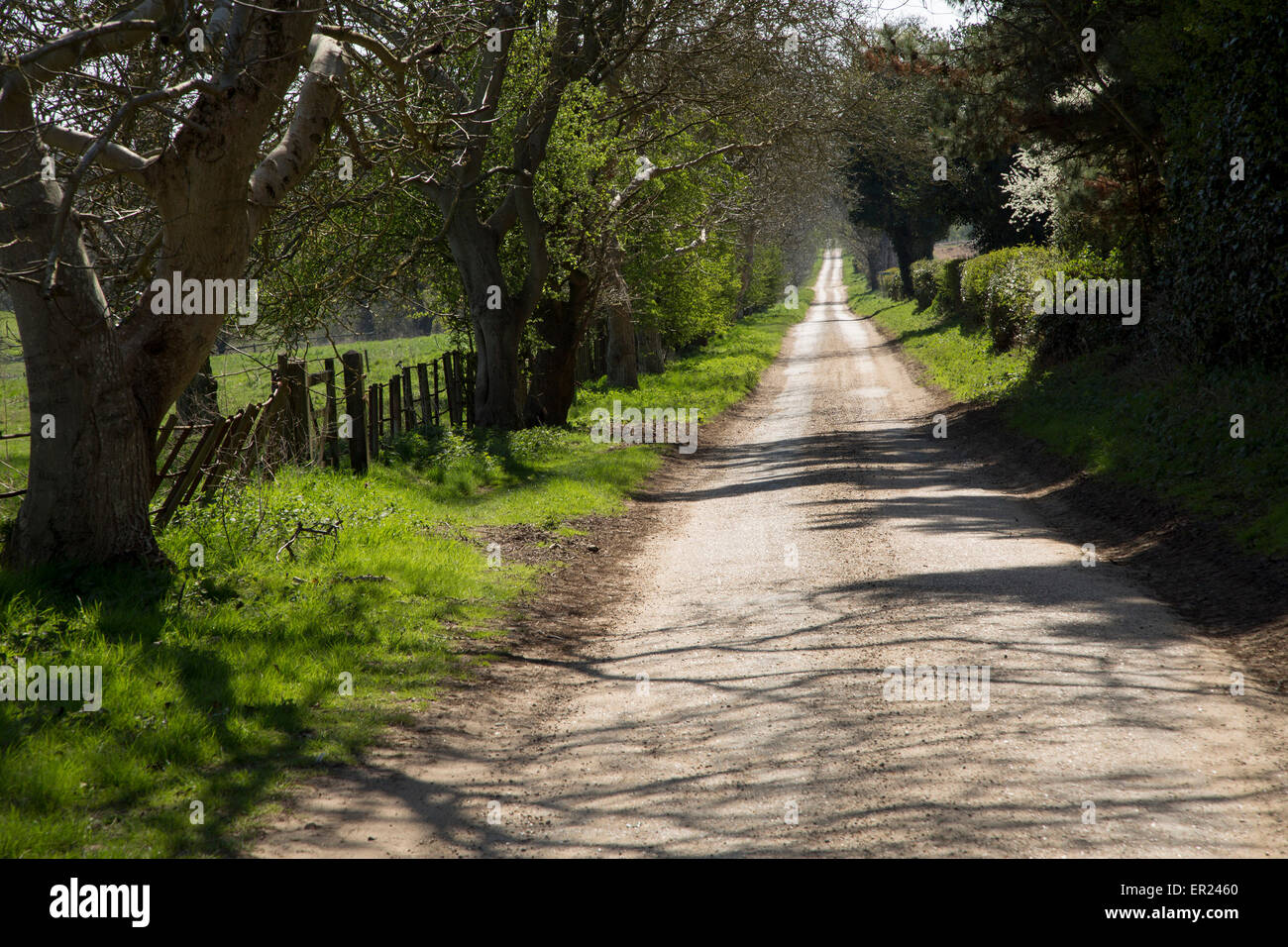 Long straight country road hi-res stock photography and images - Alamy