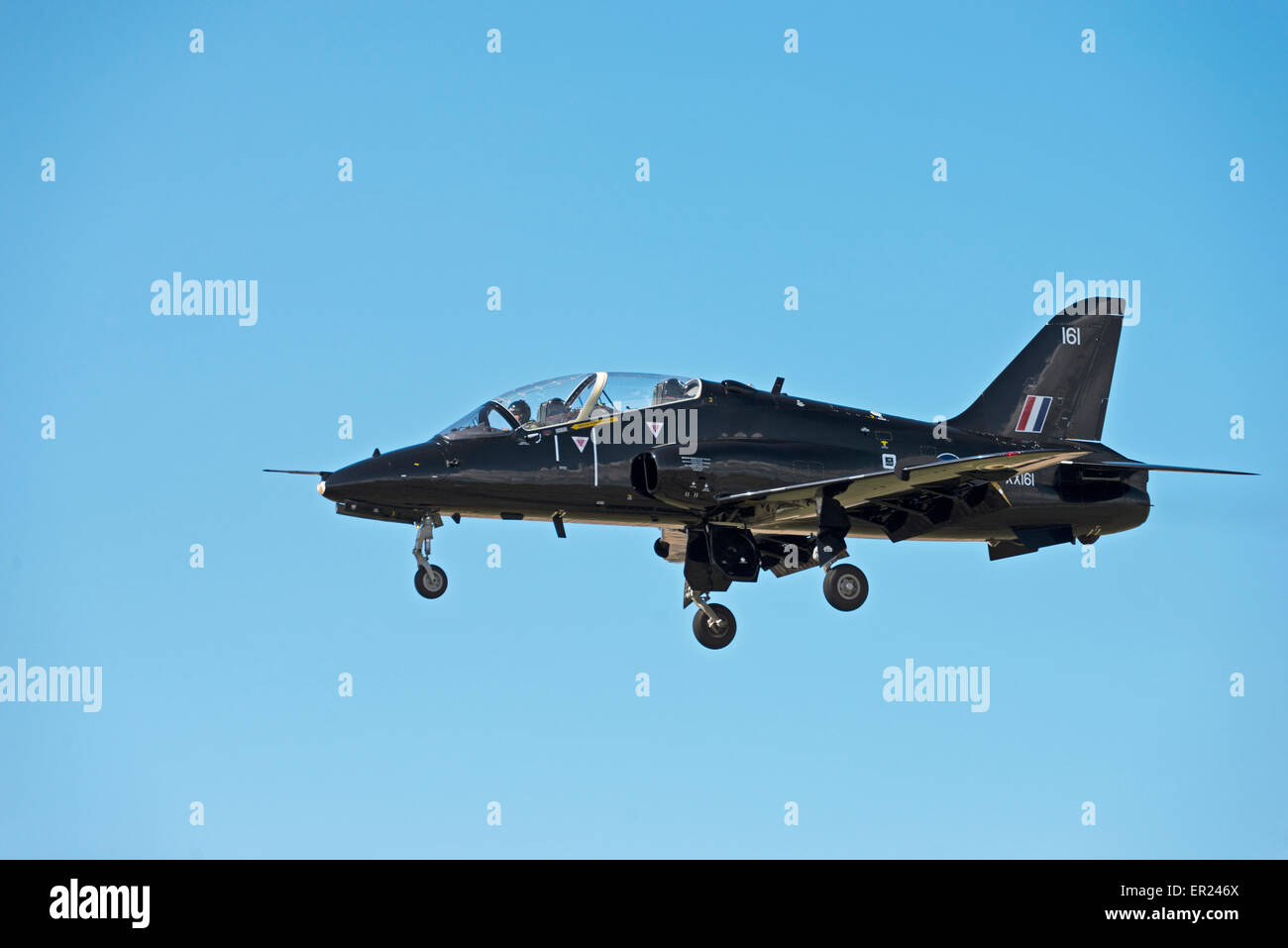 T1 hawk hi-res stock photography and images - Alamy
