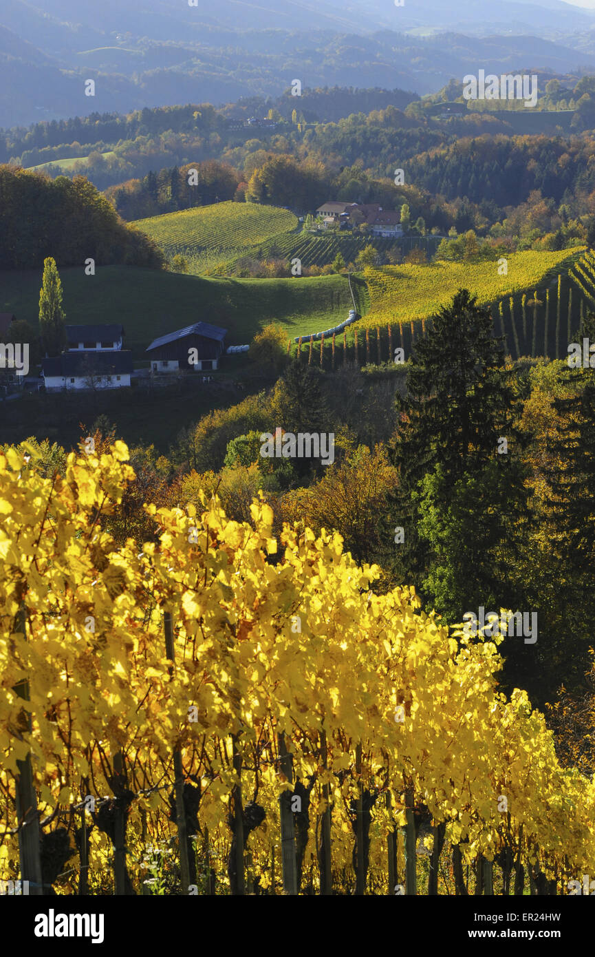 Suedsteirische Weinstrasse, Southern Styria wine route in autumn ...