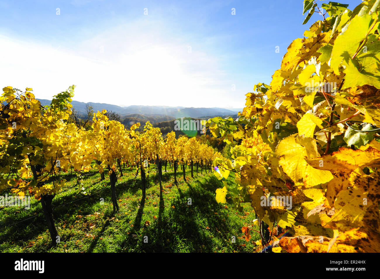 Suedsteirische Weinstrasse, Southern Styria wine route in autumn ...