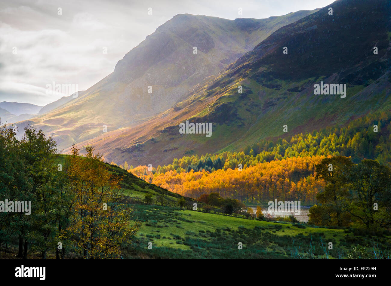 High Crag, Buttermere Fell and Burtness Wood viewed from the village of ...
