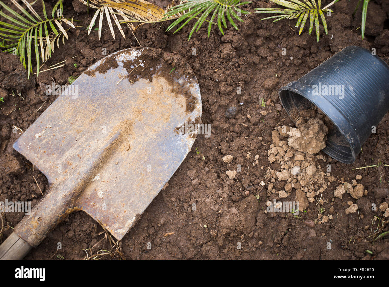 rusted old shovel and empty vase on dirty ground of farm Stock Photo ...