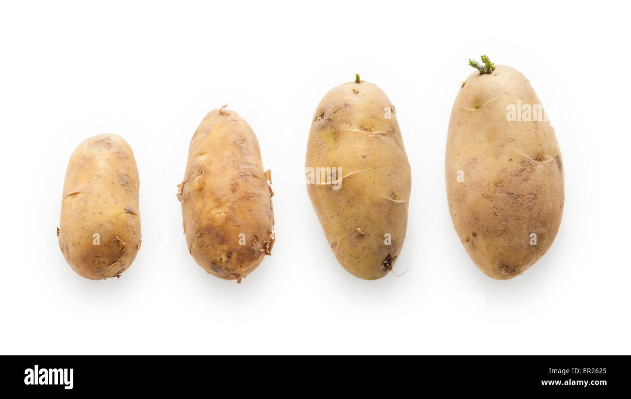 Large potato hi-res stock photography and images - Alamy