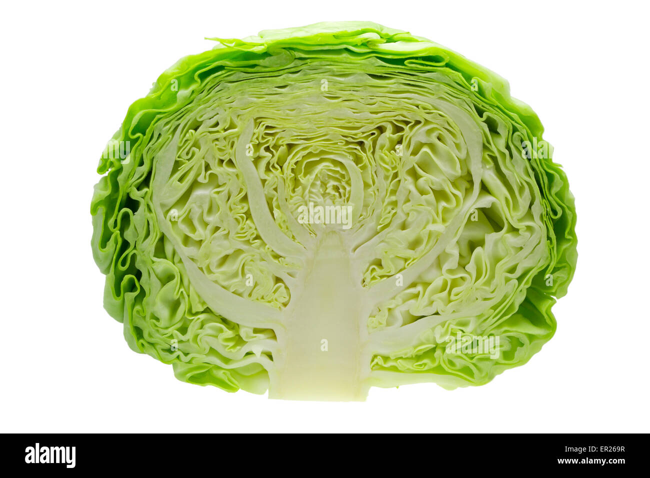 Cabbage cut in half isolated on white background Stock Photo - Alamy