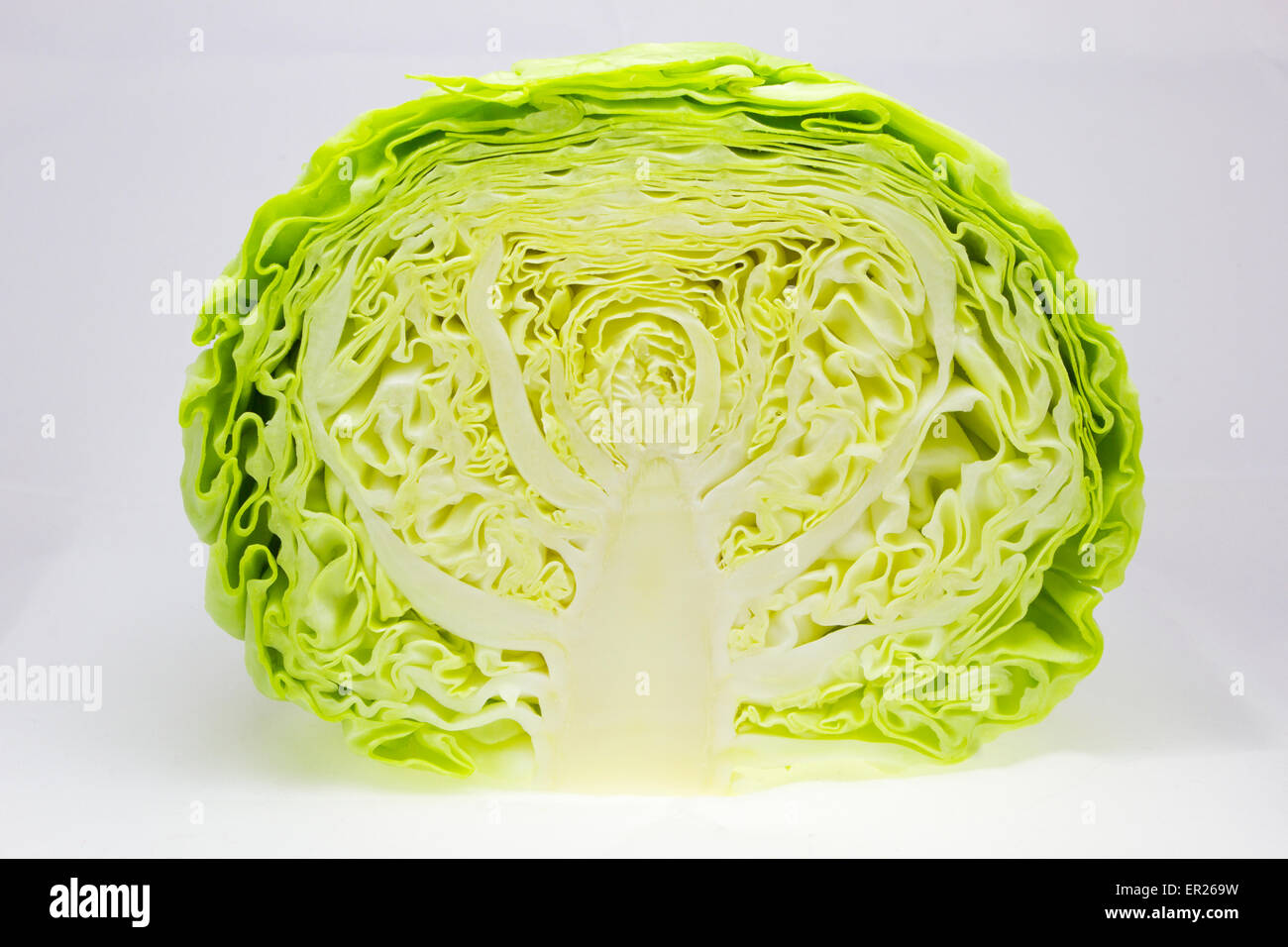 Fresh and green cabbage cut in half Stock Photo - Alamy