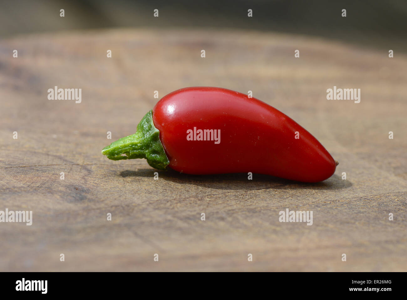 Red garden pepper, Austria Stock Photo - Alamy