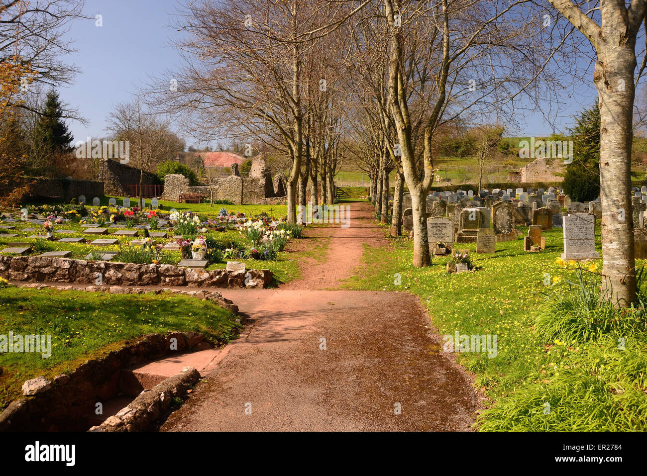 Spring flowers in village graveyard Stock Photo - Alamy