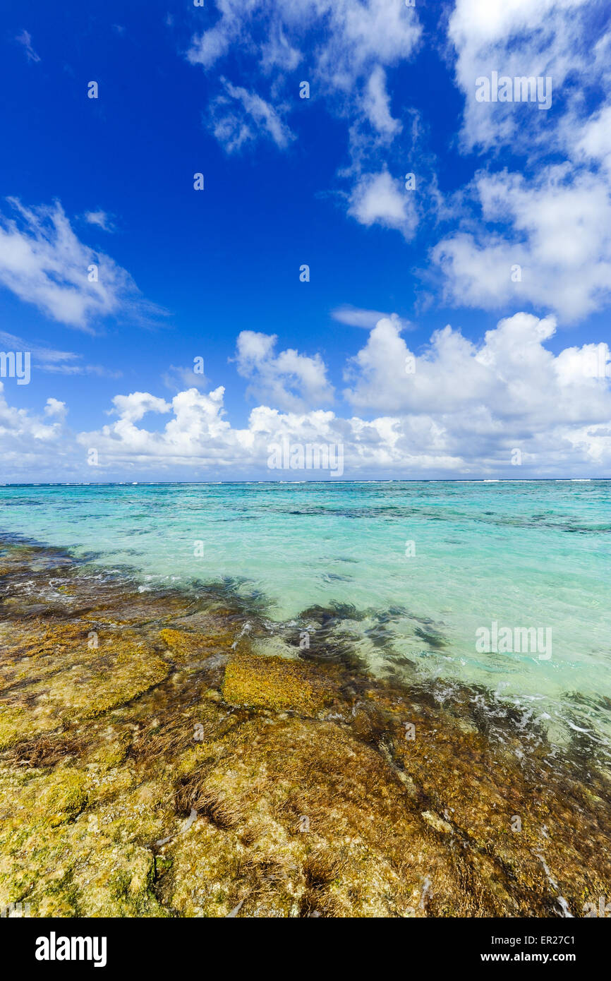 Cuba, Guantanamo, Baracoa, Playa Maguana Stock Photo - Alamy