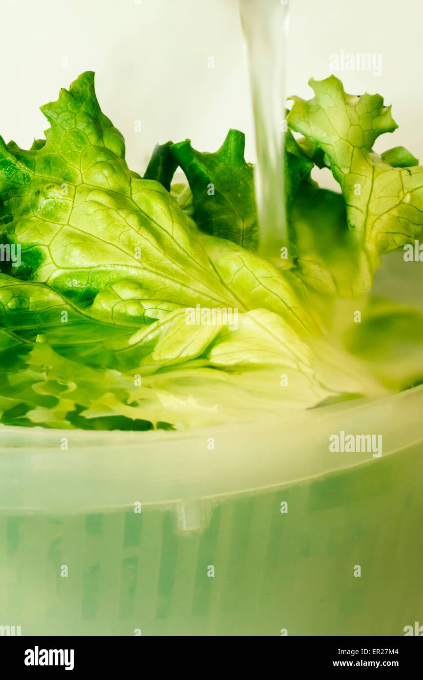 green salad water flowing Stock Photo - Alamy