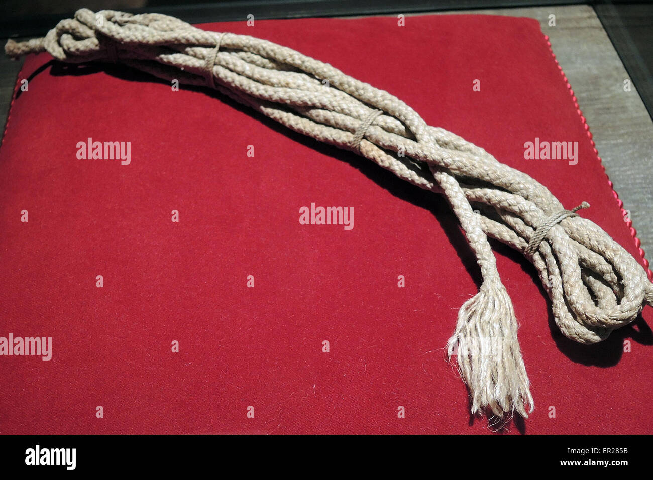 The torn rope of Edward Whymper's group known for the first ascent of ...