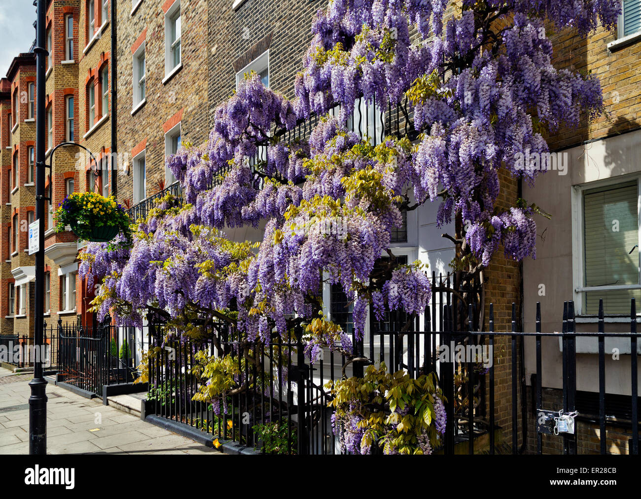 Marylebone london hi-res stock photography and images - Alamy
