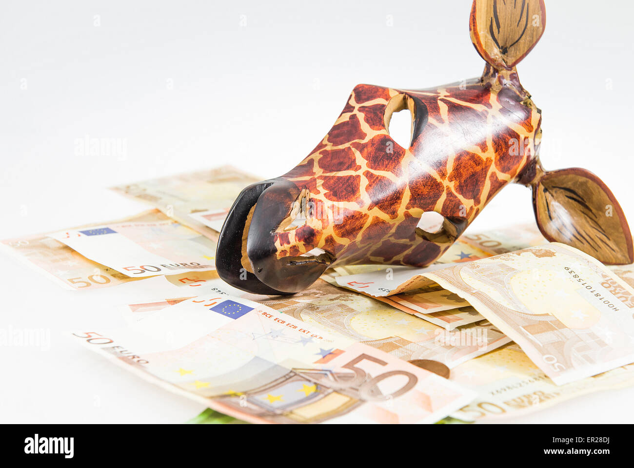 Giraffes head laying on top of the euro currency with white and grey ...