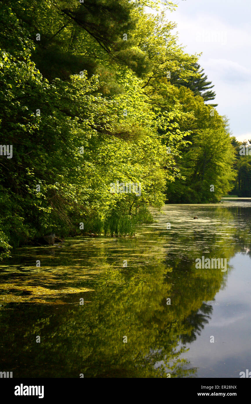 Grist Mill Pond Reflection Stock Photo - Alamy