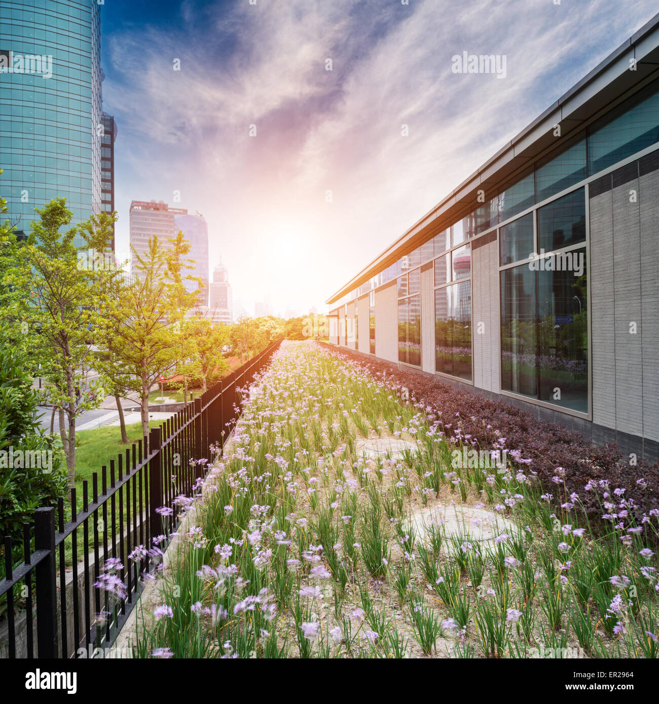 details of a modern office building with many windows Stock Photo - Alamy