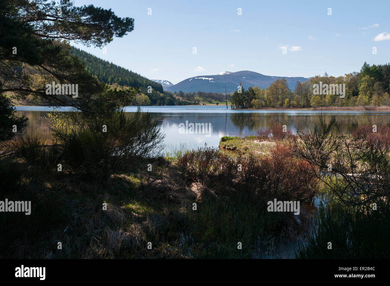 Loch Pityoulish in spring with Braeriach, Braigh Riabhach, in the ...