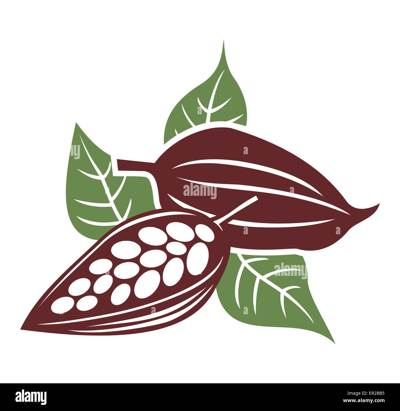 Cocoa plant illustration Cut Out Stock Images & Pictures - Alamy