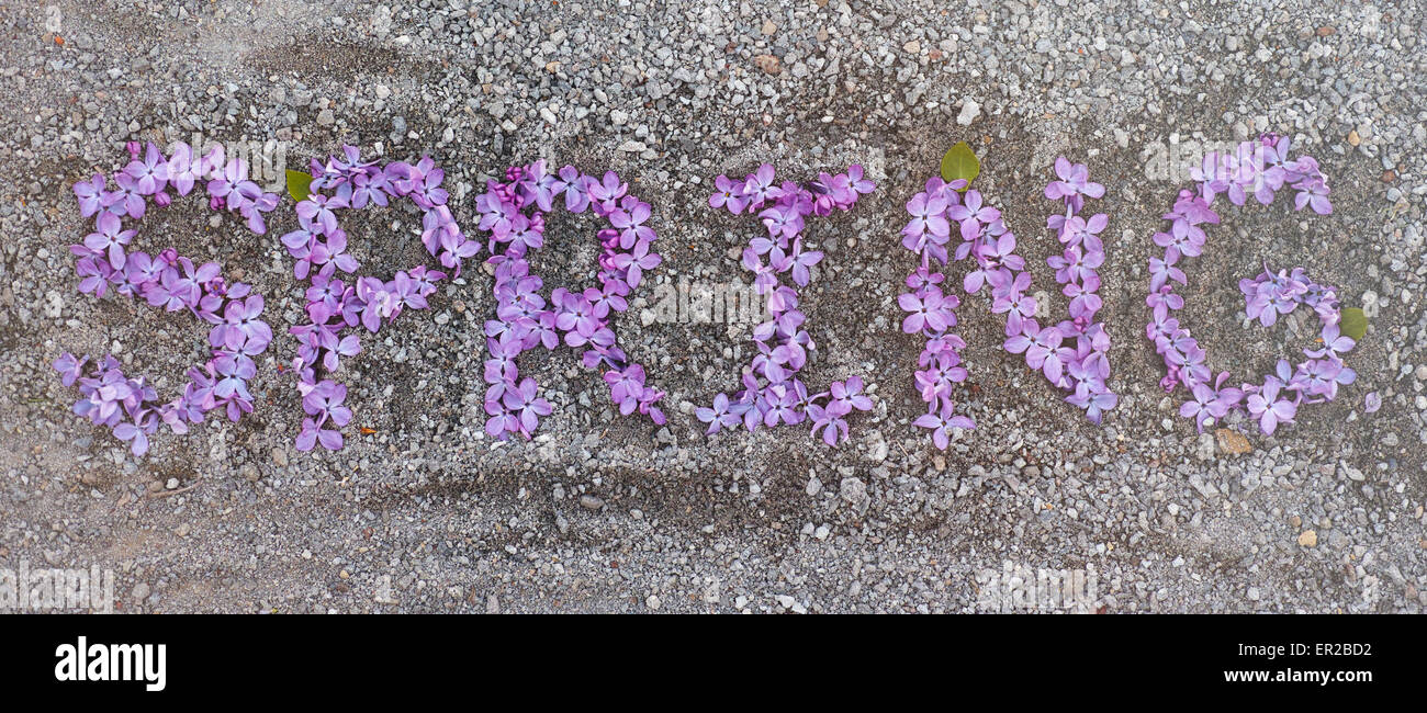 Think Spring Facebook Covers