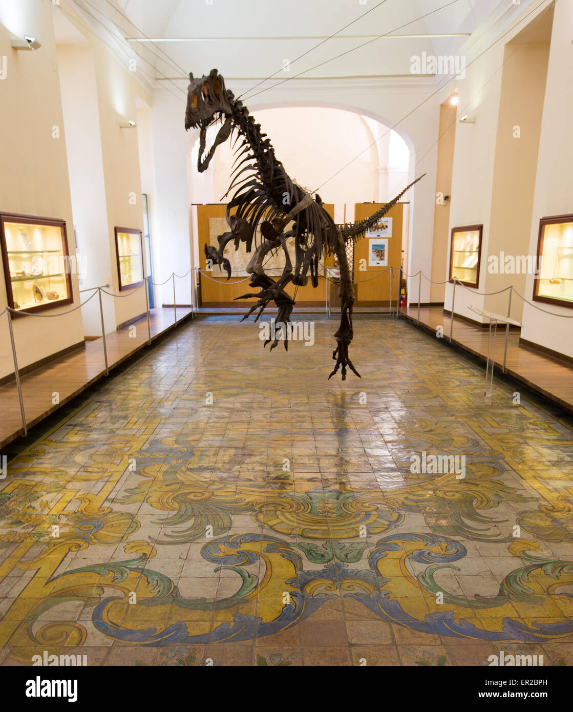 Paleontological museum naples hi-res stock photography and images - Alamy