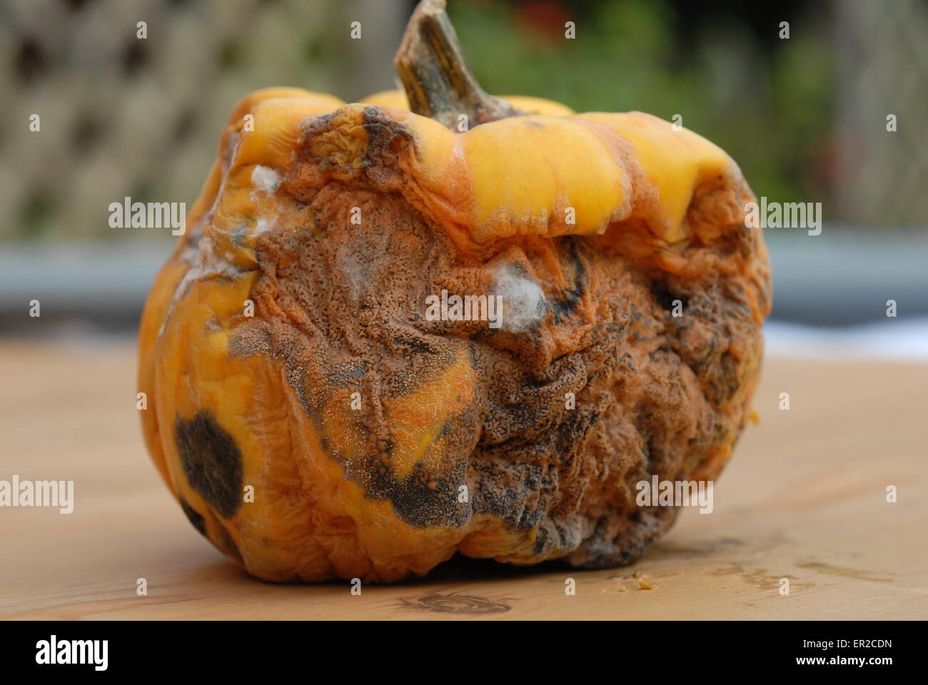 Mouldy vegetable hi-res stock photography and images - Alamy