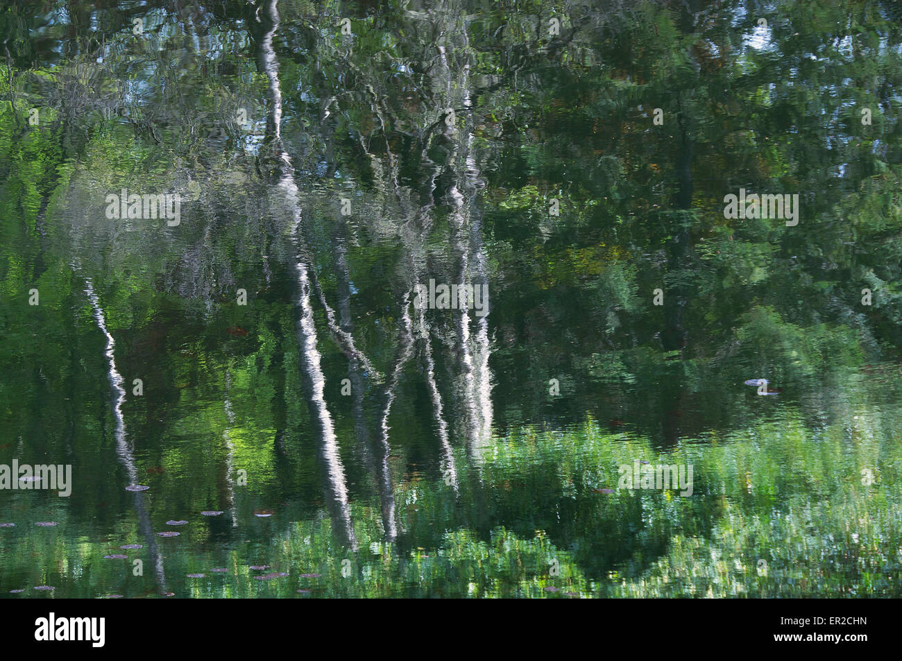 Trees reflections monet hi-res stock photography and images - Alamy