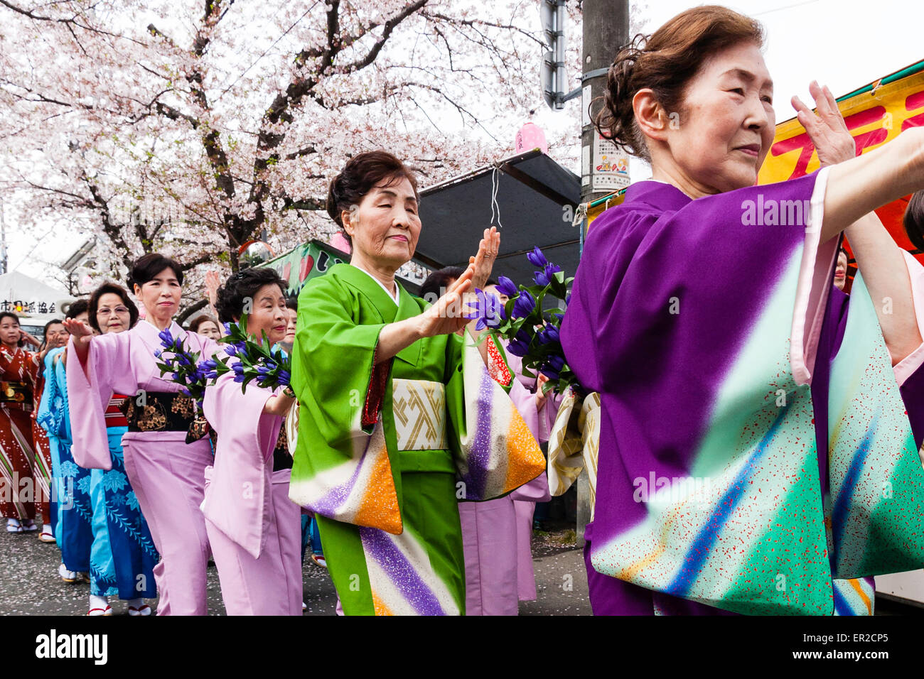 Team of mature women dressed in kimono singing and dancing under the ...