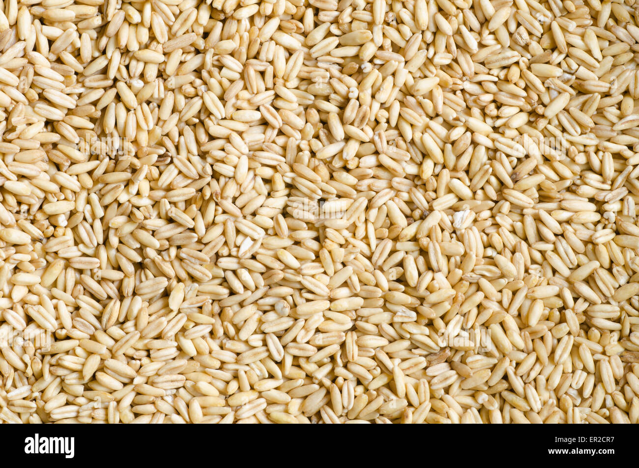 close up to oat grains Stock Photo - Alamy