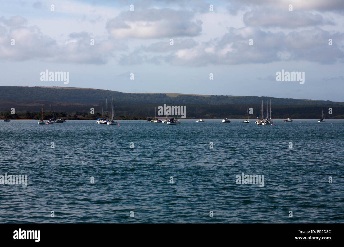 Yachts mored near Sandbanks and Shell Bay at the entrance to Poole ...