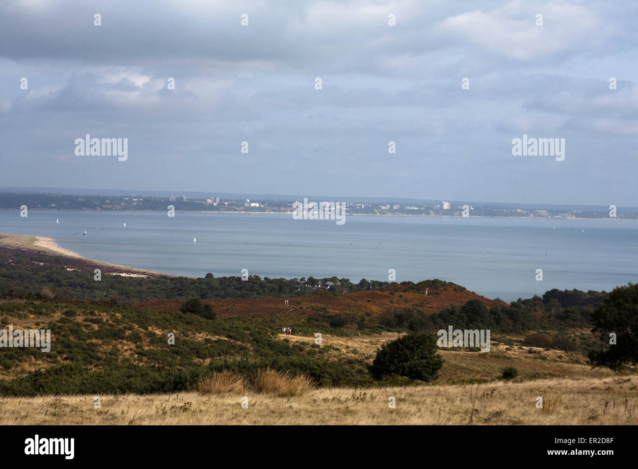 Poole bay hi-res stock photography and images - Alamy