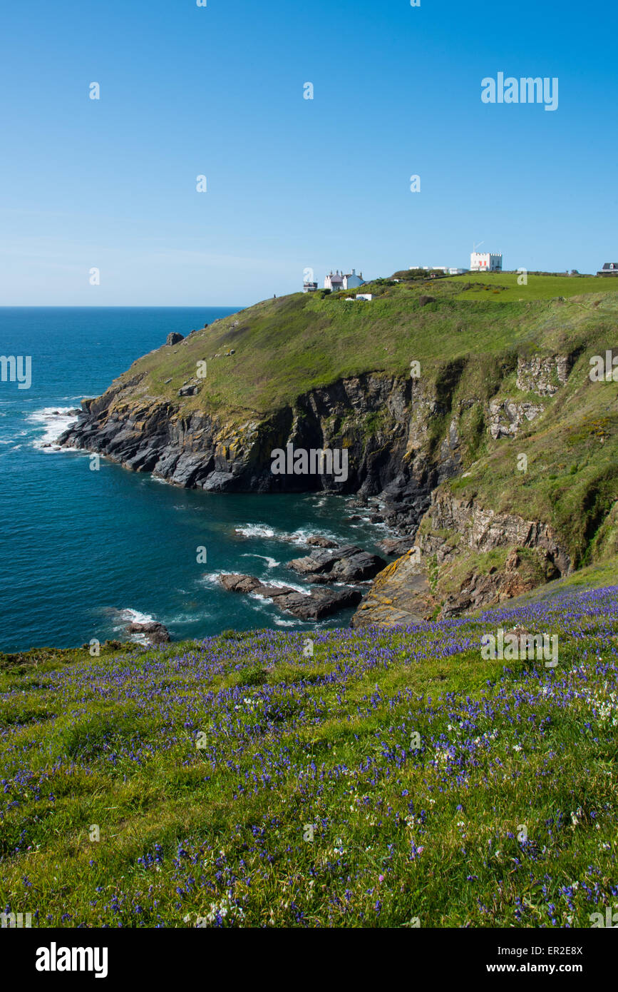The National Coastwatch Institution Lookout at Bass Point, near The ...