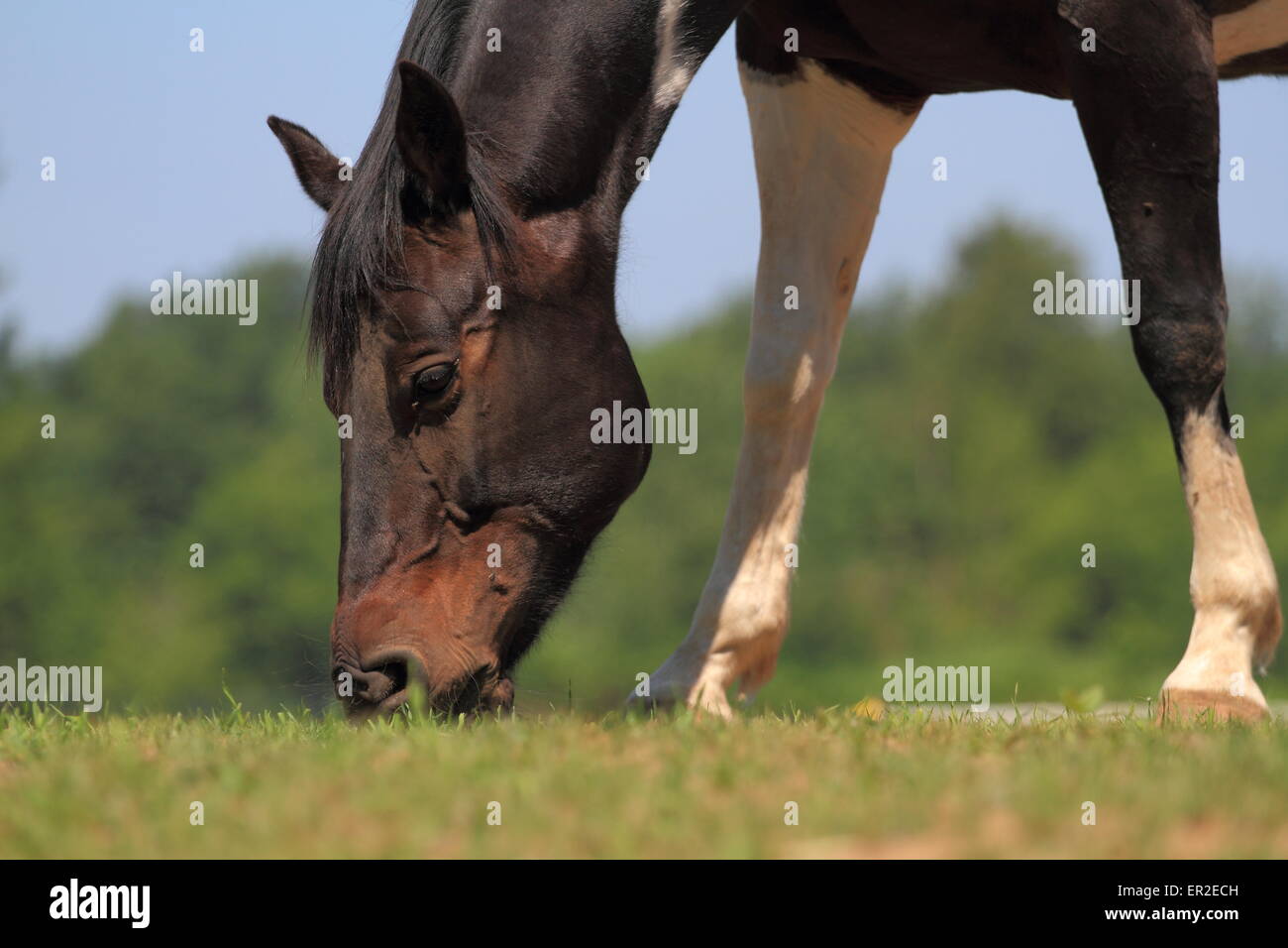 Content low perspective hi-res stock photography and images - Alamy