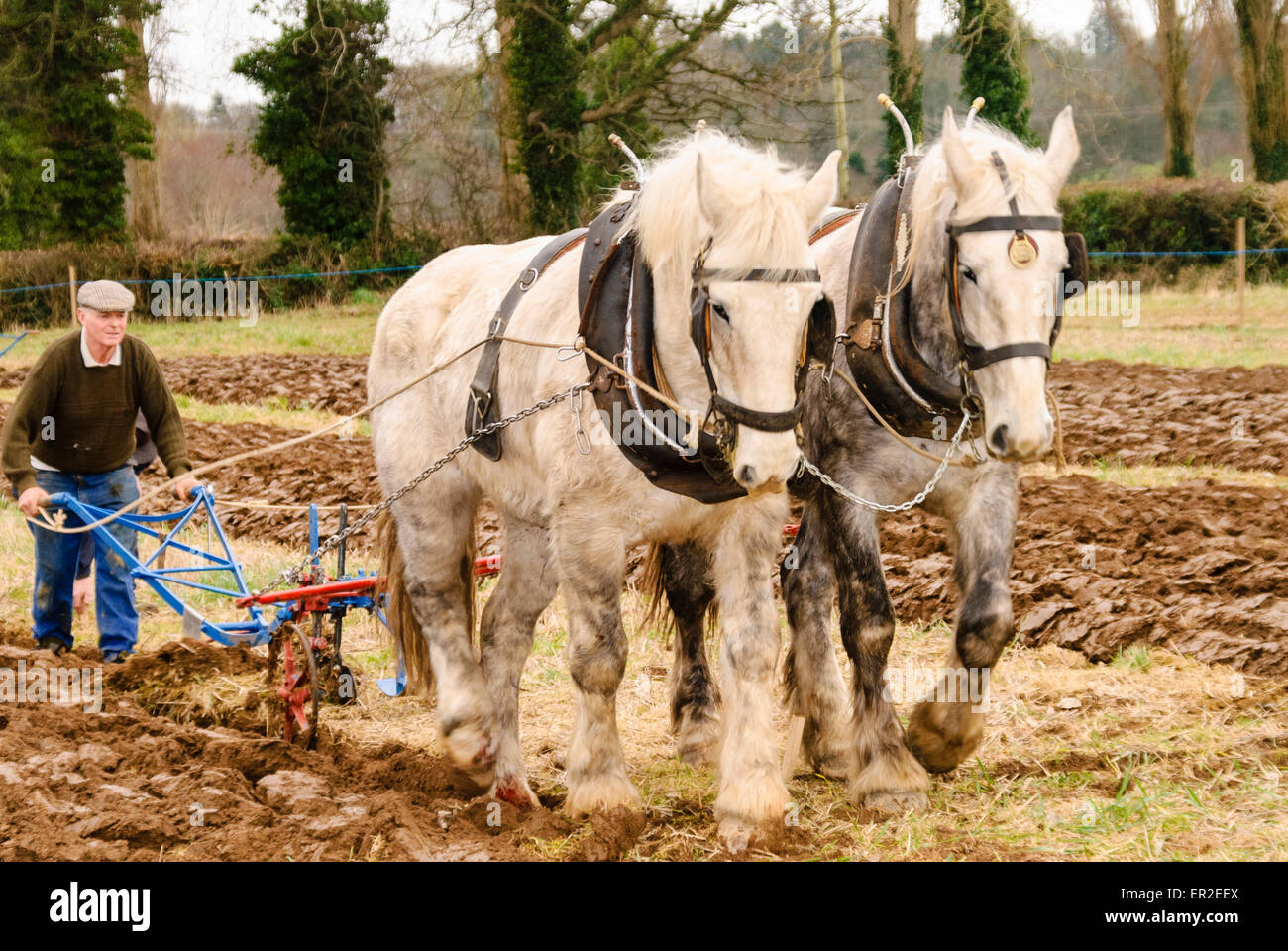 Two furrow plough hi-res stock photography and images - Alamy