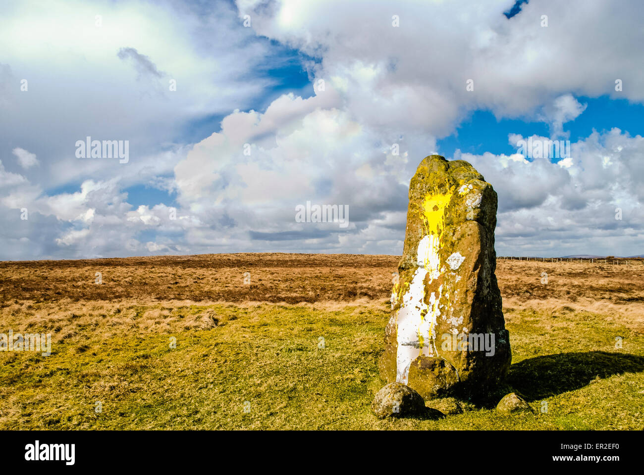 Stone paint hi-res stock photography and images - Alamy