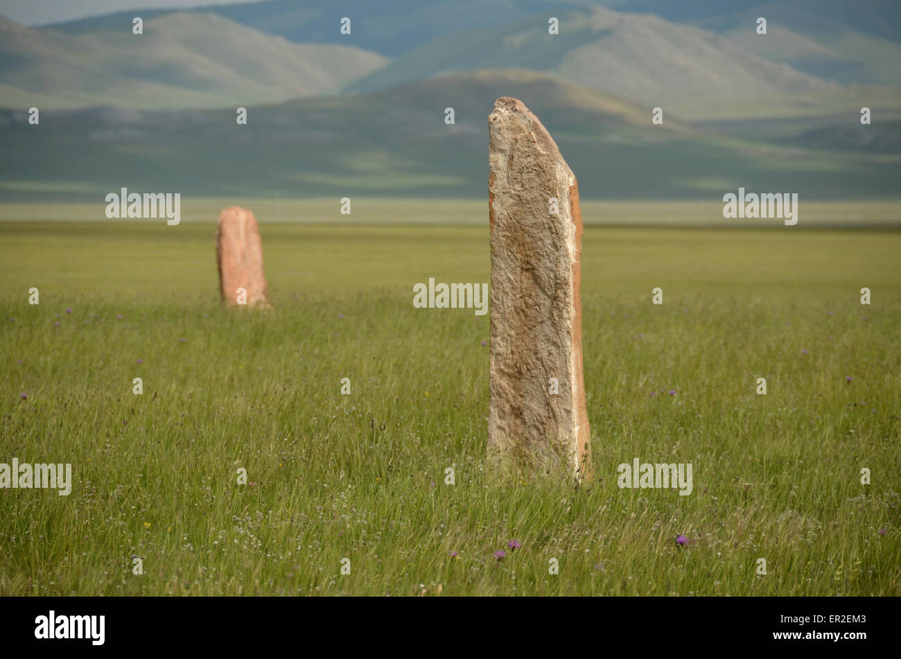 Deer stones in the Ovsgol province, northern Mongolia Stock Photo - Alamy