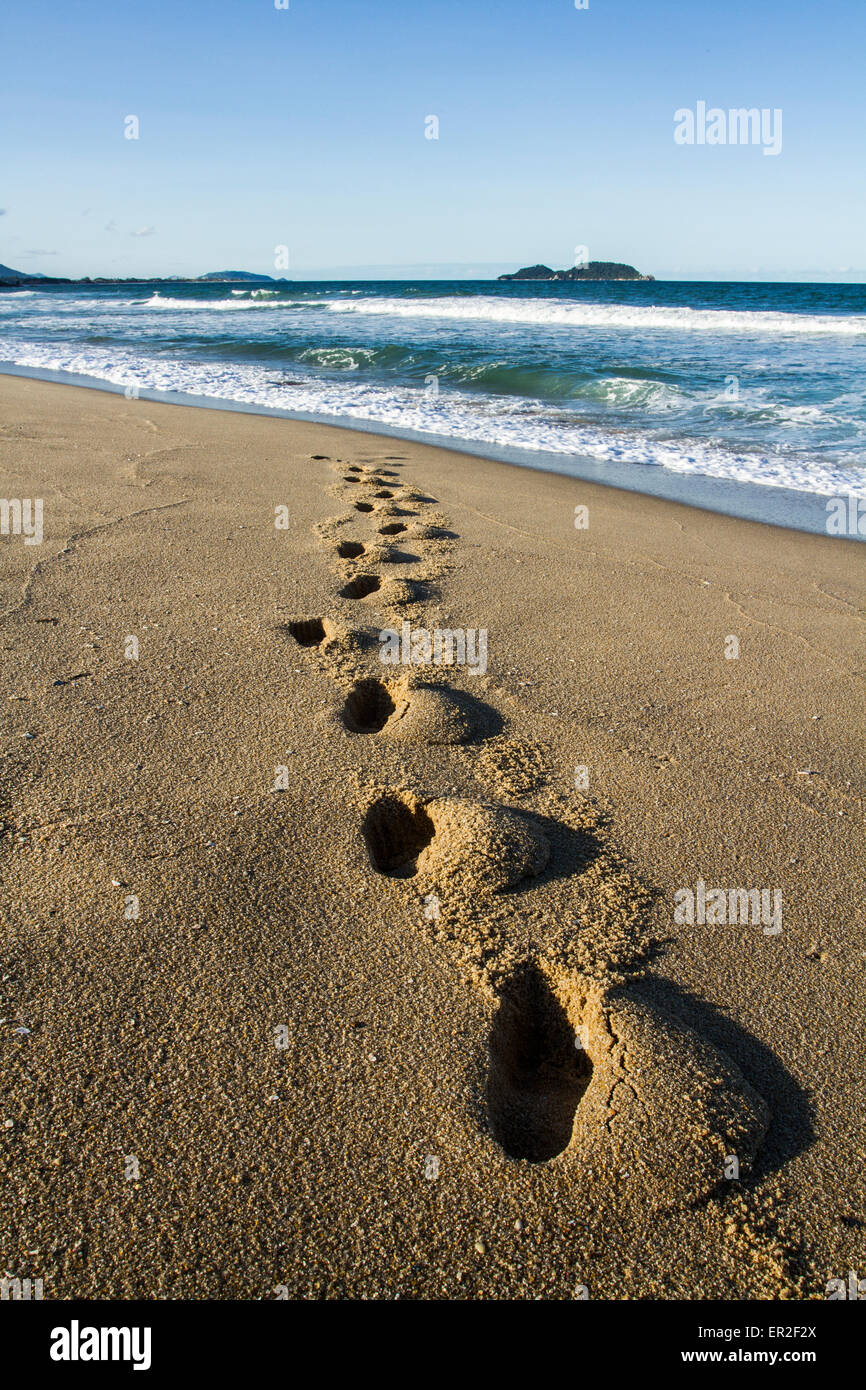 Footprints on the sand at Armacao Beach. Florianopolis, Santa Catarina ...