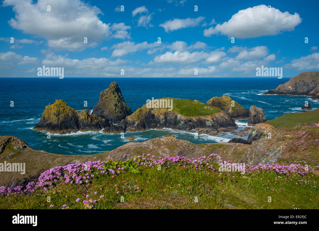 Kynance Cove, Cornwall, UK Stock Photo - Alamy