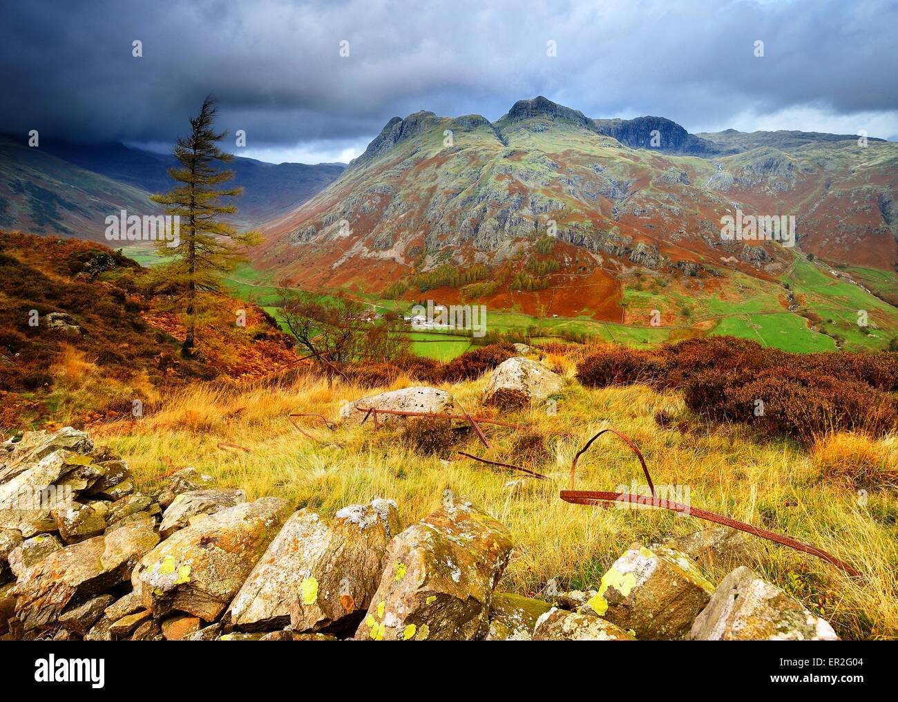 Lone Tree on Side Pike Stock Photo - Alamy