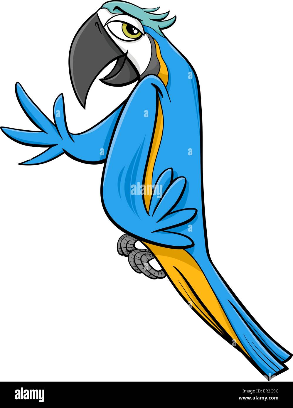 Cartoon Illustration of Funny Macaw Parrot Bird Stock Vector Image ...